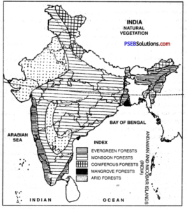 PSEB 10th Class SST Solutions Geography Chapter 4 Natural Vegetation ...