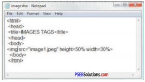 PSEB 10th Class Computer Solutions Chapter 2 HTML Fundamentals – PSEB ...