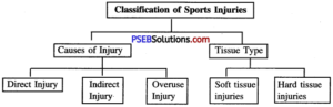 PSEB 12th Class Physical Education Solutions Chapter 4 Sport Injuries ...