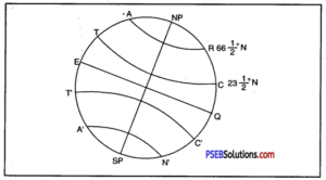 PSEB 6th Class Social Science Solutions Chapter 2 Globe – The Model of ...
