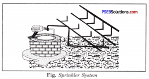 PSEB 8th Class Science Solutions Chapter 1 Crop Production and ...