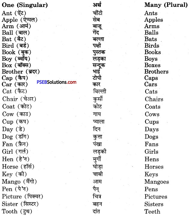 PSEB 5th Class English Grammar General Topics PSEB Solutions