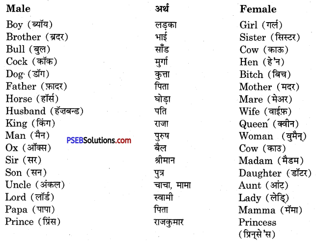 PSEB 5th Class English Grammar General Topics PSEB Solutions