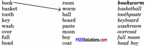 PSEB 5th Class English Solutions Chapter 3 Child and Grandma – PSEB ...