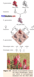 PSEB 12th Class Biology Solutions Chapter 5 Principles of Inheritance ...