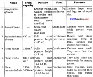PSEB 12th Class Biology Solutions Chapter 7 Evolution – PSEB Solutions