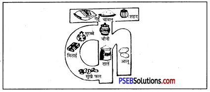 PSEB 8th Class Home Science Solutions Chapter 1 निजी देखभाल – PSEB ...