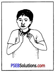 PSEB 8th Class Home Science Solutions Chapter 8 प्राथमिक सहायता – PSEB ...