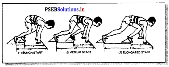 ਐਥਲੈਟਿਕਸ (Athletics) Game Rules – PSEB 11th Class Physical Education ...