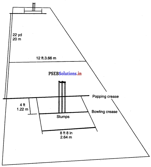 ਕ੍ਰਿਕਟ (Cricket) Game Rules – PSEB 10th Class Physical Education – PSEB ...
