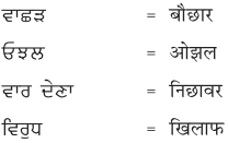 PSEB 6th Class Hindi Solutions Chapter 14 कुमारी काली बाई – PSEB Solutions