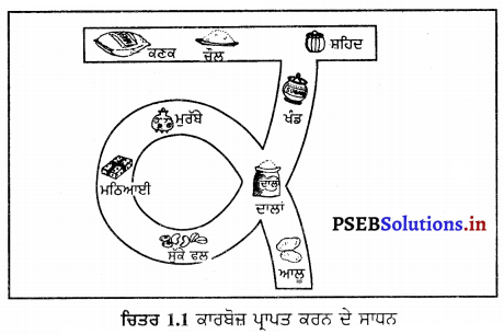 PSEB 8th Class Home Science Solutions Chapter 1 ਨਿੱਜੀ ਦੇਖ-ਭਾਲ – PSEB ...