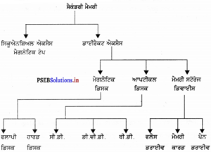 PSEB 8th Class Computer Notes Chapter 8 ਮੈਮਰੀ ਯੂਨਿਟਸ – PSEB Solutions