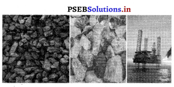 PSEB 8th Class Social Science Solutions Chapter 1 ਸਾਧਨ- ਕਿਸਮਾਂ ਅਤੇ ਸਾਂਭ ...