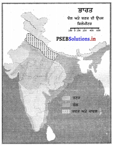 PSEB 8th Class Social Science Solutions Chapter 4 ਸਾਡੀ ਖੇਤੀਬਾੜੀ – PSEB ...