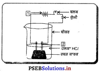PSEB 10th Class Science Important Questions Chapter 2 ਤੇਜ਼ਾਬ, ਖਾਰ ਅਤੇ ...