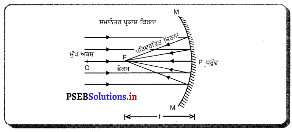 PSEB 10th Class Science Solutions Chapter 10 ਪ੍ਰਕਾਸ਼-ਪਰਾਵਰਤਨ ਅਤੇ ਅਪਵਰਤਨ ...
