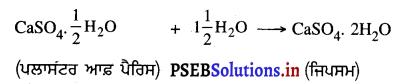 PSEB 10th Class Science Solutions Chapter 2 ਤੇਜ਼ਾਬ, ਖਾਰ ਅਤੇ ਲੂਣ – PSEB ...