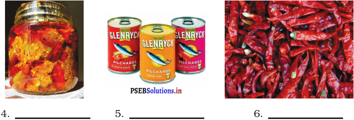 PSEB 5th Class EVS Solutions Chapter 10 