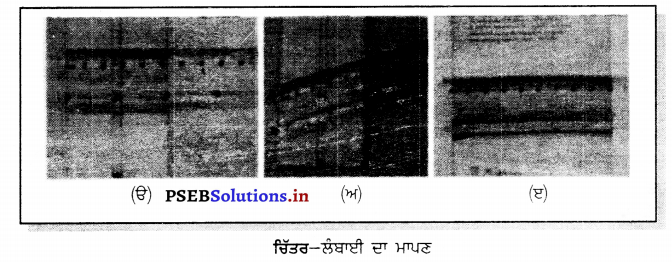 PSEB 6th Class Science Solutions Chapter 10 