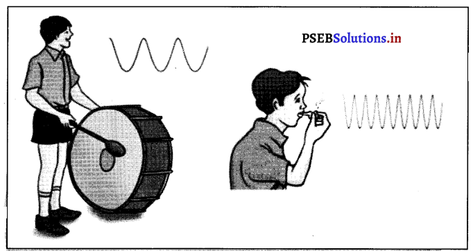 PSEB 8th Class Science Solutions Chapter 13 ਧੁਨੀ – PSEB Solutions