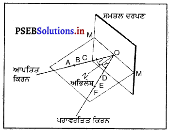 PSEB 8th Class Science Solutions Chapter 16 ਪ੍ਰਕਾਸ਼ – PSEB Solutions