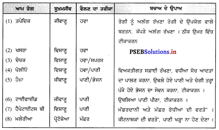 PSEB 8th Class Science Solutions Chapter 2 ਸੂਖ਼ਮਜੀਵ-ਮਿੱਤਰ ਅਤੇ ਦੁਸ਼ਮਣ ...