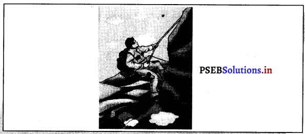 PSEB 8th Class Science Solutions Chapter 3 ਸੰਸ਼ਲਿਸ਼ਤ ਰੇਸ਼ੇ ਅਤੇ ਪਲਾਸਟਿਕ ...