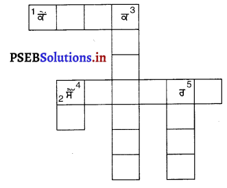 PSEB 8th Class Science Solutions Chapter 8 ਸੈੱਲ-ਬਣਤਰ ਅਤੇ ਕਾਰਜ – PSEB ...