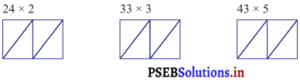 PSEB 3rd Class Maths Solutions Chapter 3 Multiplication – PSEB Solutions
