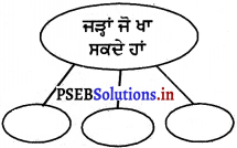 Class 4 – PSEB Solutions