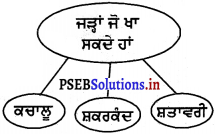 Class 4 – PSEB Solutions