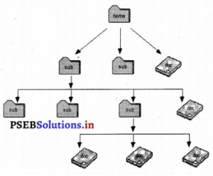PSEB 7th Class Computer Notes Chapter 8 डॉस कमांडज्र – PSEB Solutions