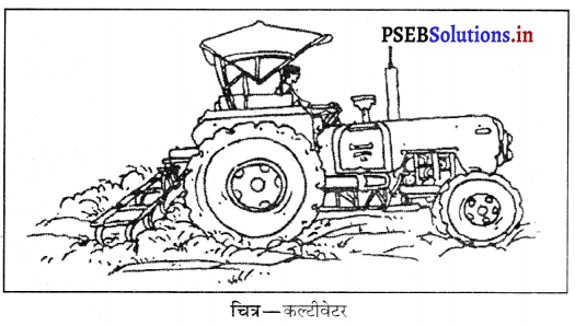 PSEB 8th Class Science Solutions Chapter 1 फसल उत्पादन एवं प्रबंध ...