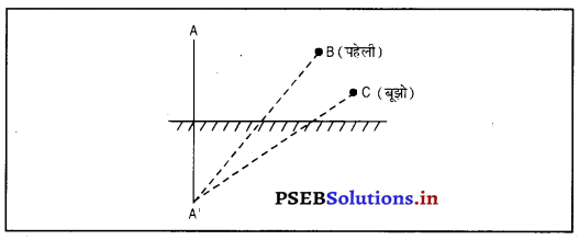 PSEB 8th Class Science Solutions Chapter 16 प्रकाश – PSEB Solutions