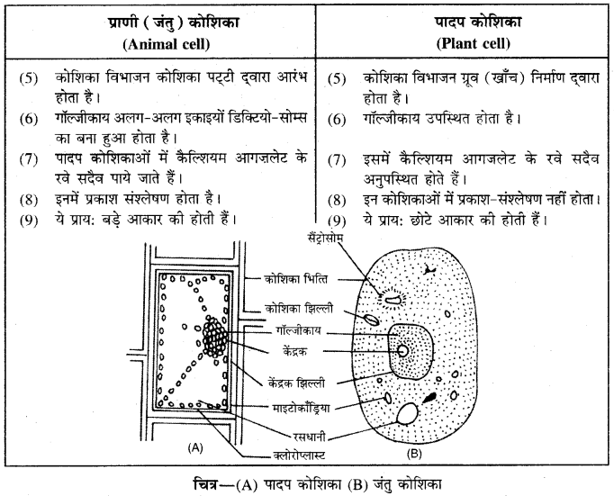 PSEB 9th Class Science Solutions Chapter 5 PSEB
