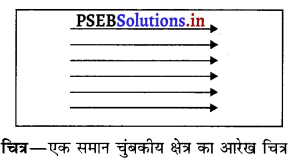 PSEB 10th Class Science Solutions Chapter 13 विद्युत धारा के चुंबकीय ...