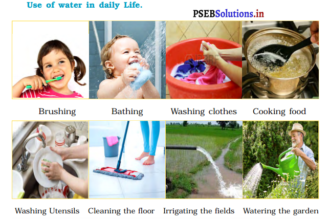 PSEB 3rd Class EVS Solutions Chapter 13 Water Basis Of Our Life 