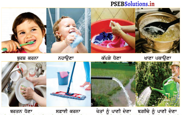 PSEB 3rd Class EVS Solutions Chapter 13 PSEB Solutions