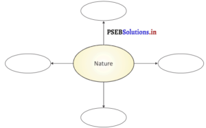 PSEB 4th Class English Solutions Chapter 9 Adventures with Books – PSEB ...