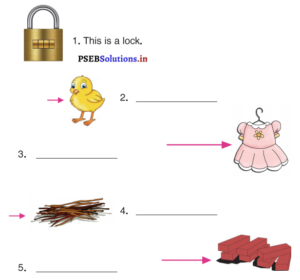PSEB 3rd Class English Solutions Chapter 7 The Swing – PSEB Solutions